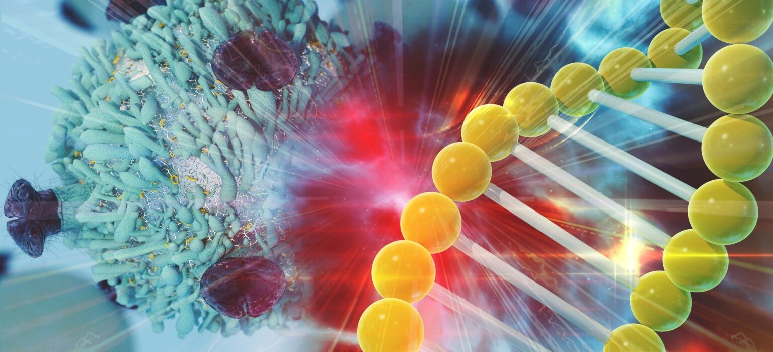 Targeted Treatments and Immunotherapy for Solid Tumours: Demystifying ...